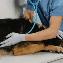 TFC Tuition Financing